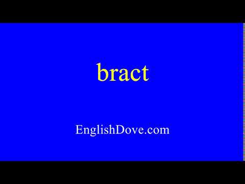 How to pronounce bract in American English