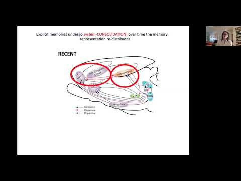 Plenary Lecture - The Neurobiology of Long-Term Memory - Cristina Maria Alberini