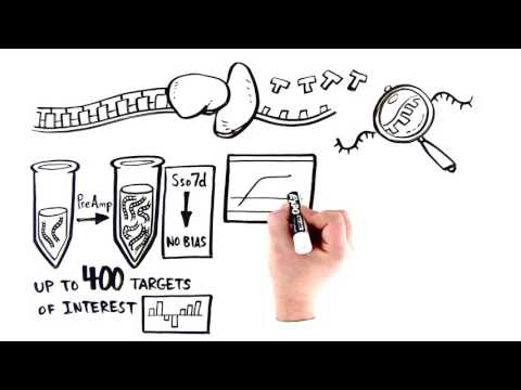 Bio-Rad's Single-Cell Multiplex RT-qPCR Workflow