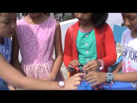 Grade 4 IPC Science Task