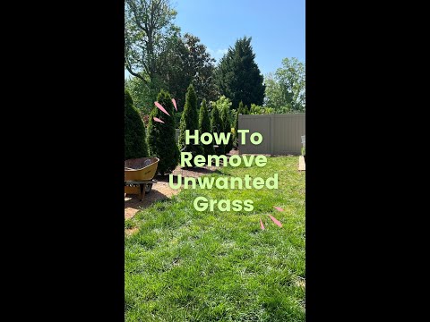 How To Remove Unwanted Grass Using A Sod Cutter ✂️✂️✂️