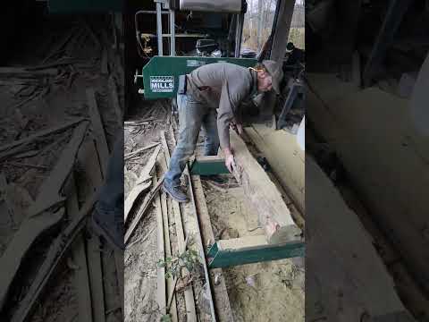 Milling a little locust for a pig loading chute #sawmill #roughsawn #wood