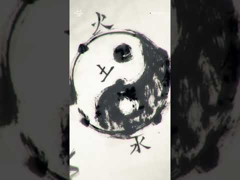 Watch how Pandas are cared for