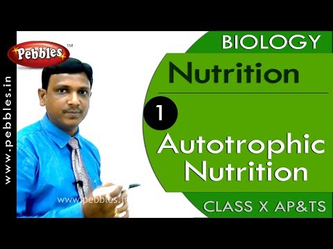 Autotrophic Nutrition:  Nutrition | Biology | Science |  Class 10