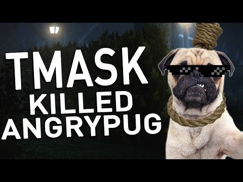Steam Community :: Video :: Tmask Killed Angrypug
