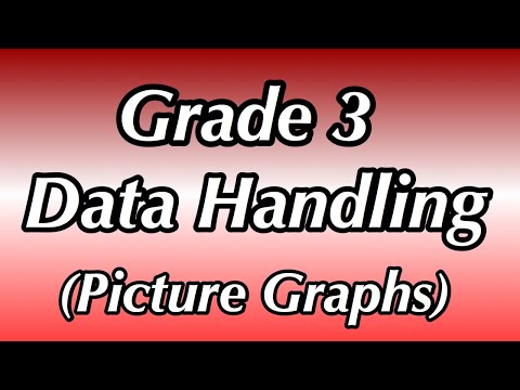 Grade 3 Data Handling (Picture Graphs) | Miss Mzizi | South African FP Teacher
