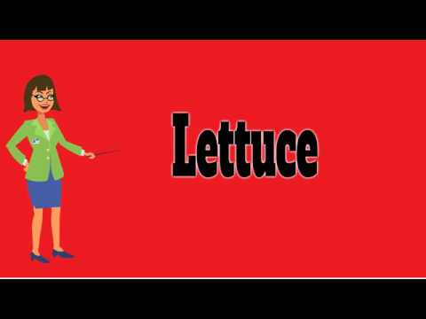 Lettuce | Pronunciation | Meanings | Synonyms | Examples | Definition