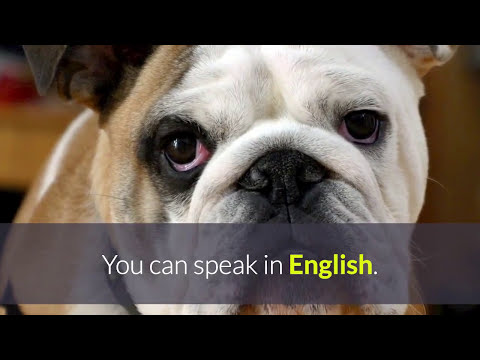 Speaking Exam Booster