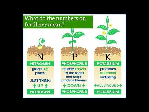 What does the numbers on the Fertilizer mean? NPK Explained