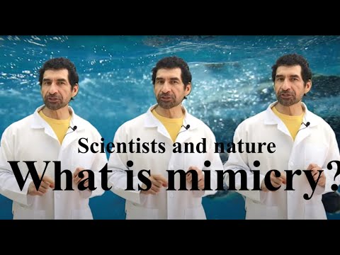Scientists and nature. What is mimicry?