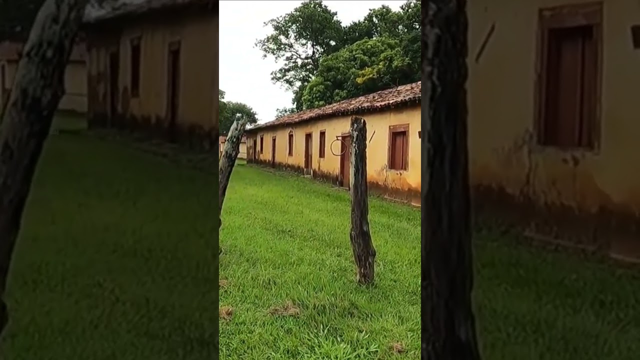 SENZALA original até hoje - muita história