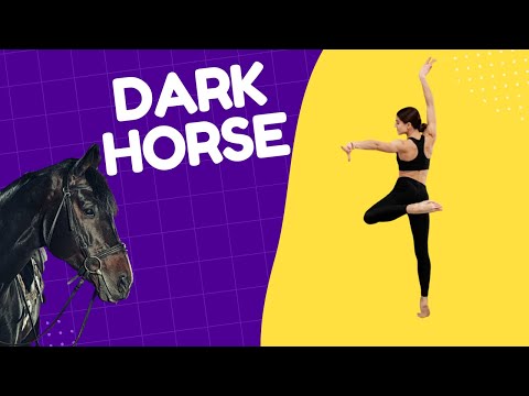 3 Dark horse - Idioms