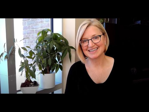 The Difference Between a Change Management Certification and the CCMP Designation