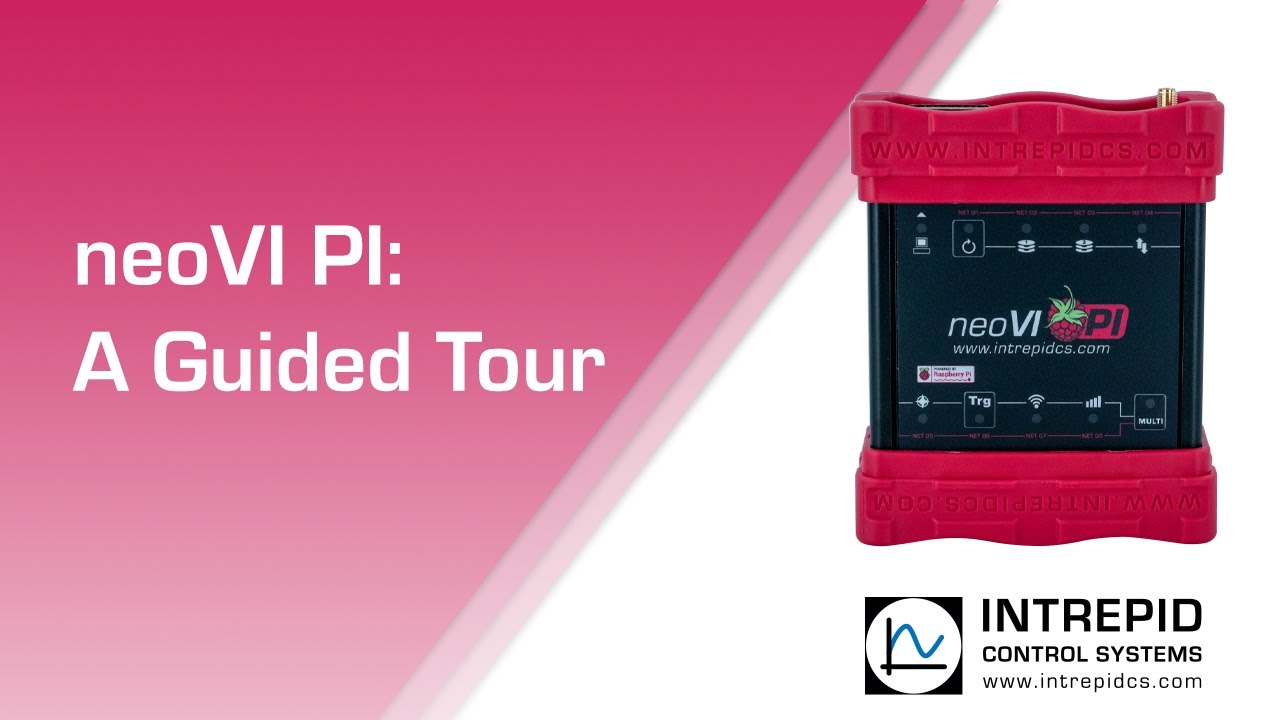 neoVI PI — A Guided Tour