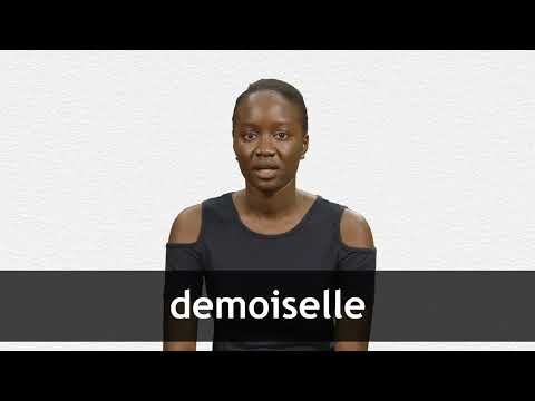 English Translation of “DEMOISELLE” | Collins French-English Dictionary