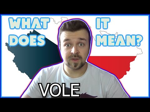 VOLE - What does it mean?