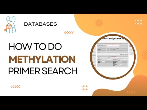 Methylation specific primers specificity check