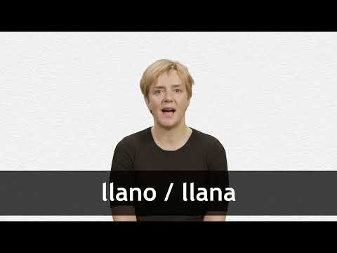 English Translation of “LLANA” | Collins Spanish-English Dictionary