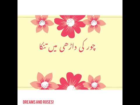 Urdu Idiom Mahawara | Chor Ki Darih me Tinka | اردو محاورہ | چور کی داڑھی میں تنکا | Learn Language