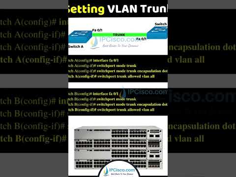 VLAN TRUNKING CONFIG IN 10 Seconds! | IPCisco.com
