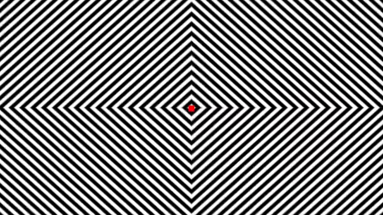 INSANE OPTICAL ILLUSION