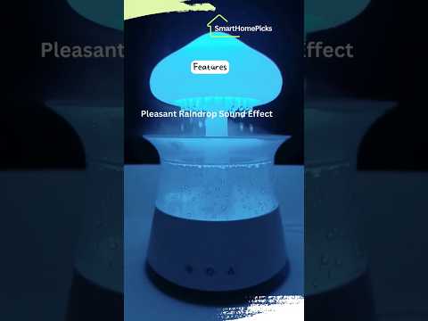 Zen Ultrasonic Rain Cloud Humidifier| Essential Oil Diffuser & 7 Color Lights | Relaxing Mood Sounds