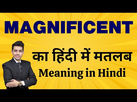 Magnificent का मतलब हिंदी में | Magnificent Meaning in Hindi Explained