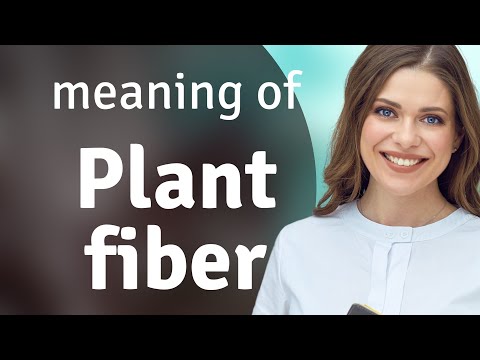 Plant fiber | what is PLANT FIBER definition