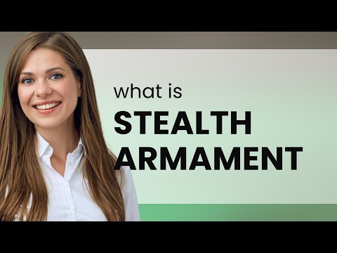Exploring the Meaning of "Stealth Armament"