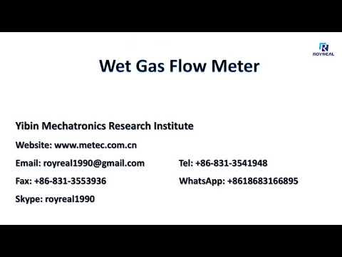 Wet gas flow meter/Wet gas meter