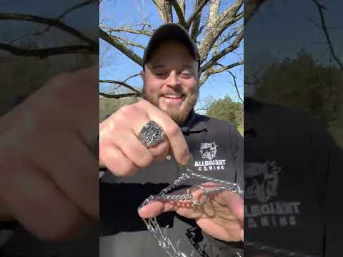 How to Use the Herm Sprenger 2.25 mm Prong Collar