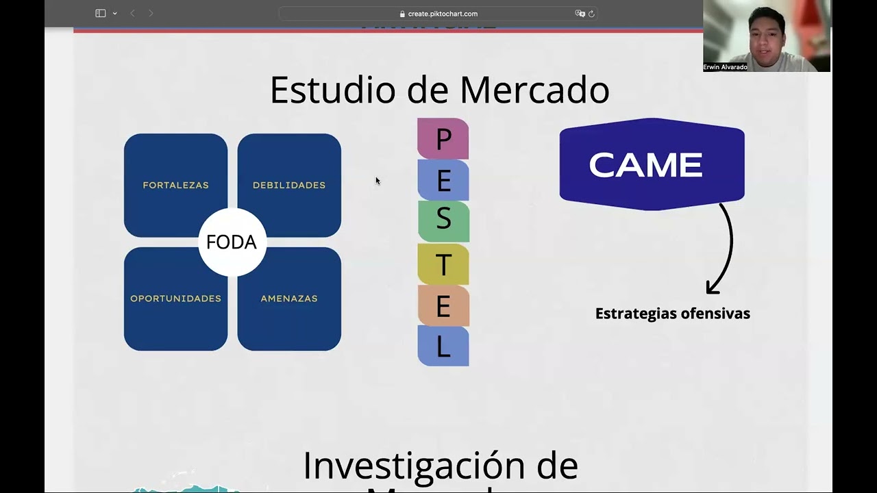 Presentación Infografía Estudio de Mercado
