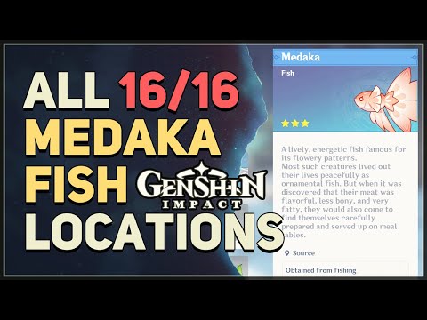 All 16 Medaka Locations Genshin Impact