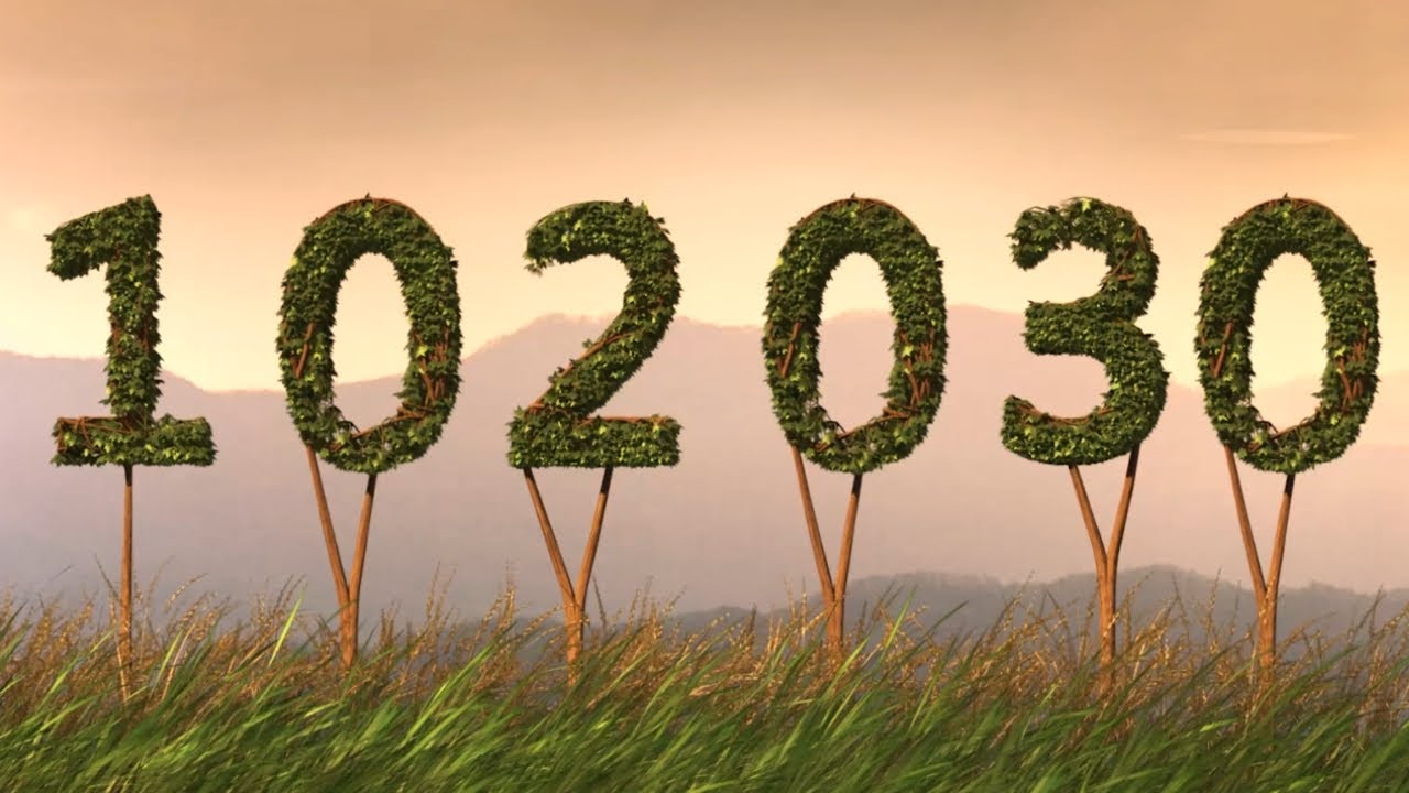 2024: India's Hottest Year Yet - How We Can Help
