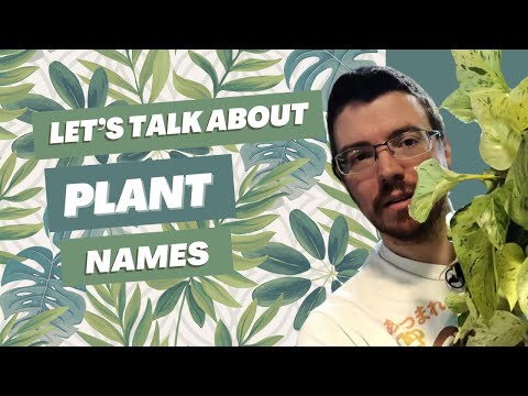 Let's Talk about Plant Names