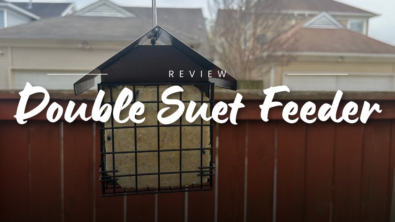 Double Suet Feeder Review