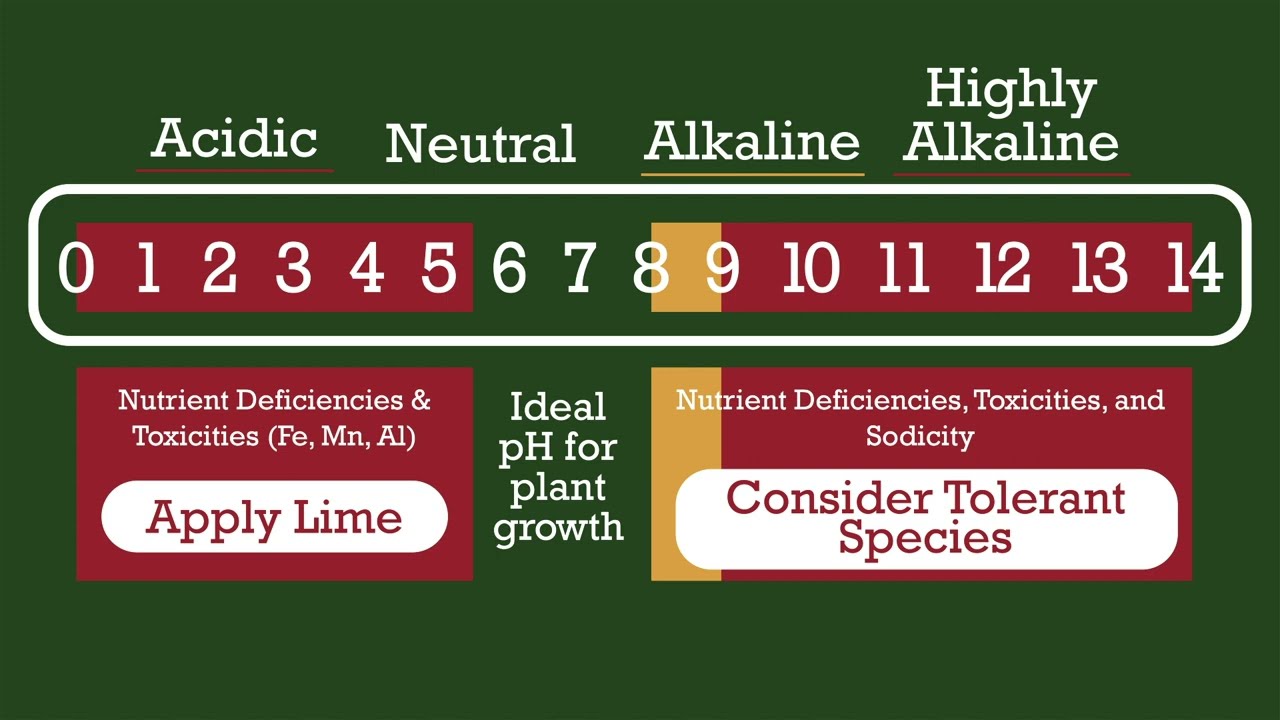 Soil Test Interpretation Guide