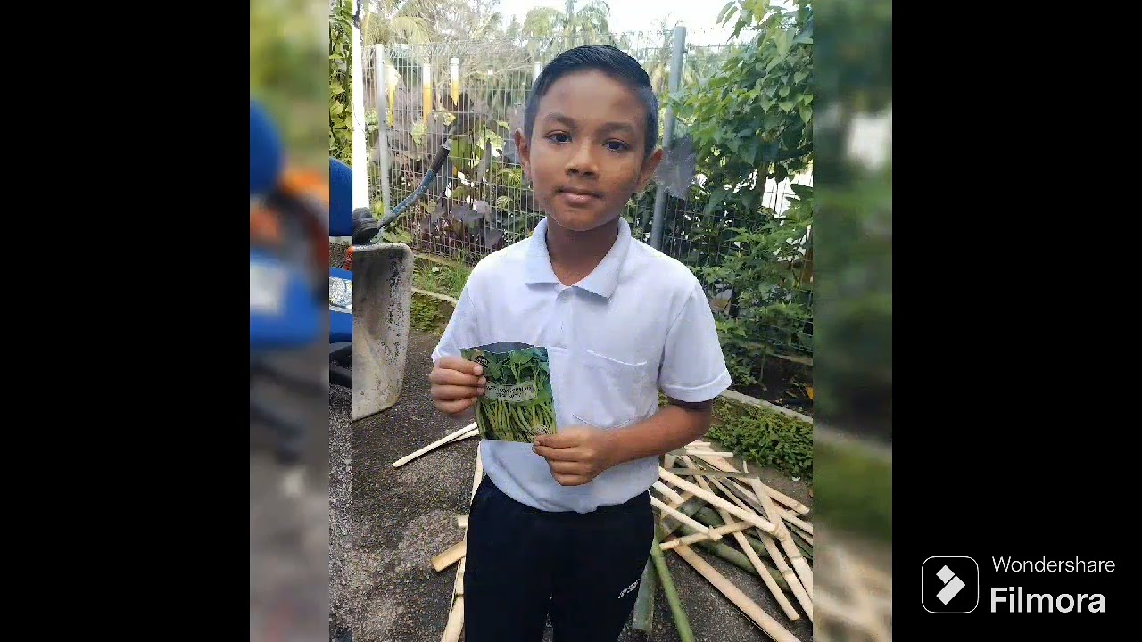 அறிவியல் / Sains Tahun 3