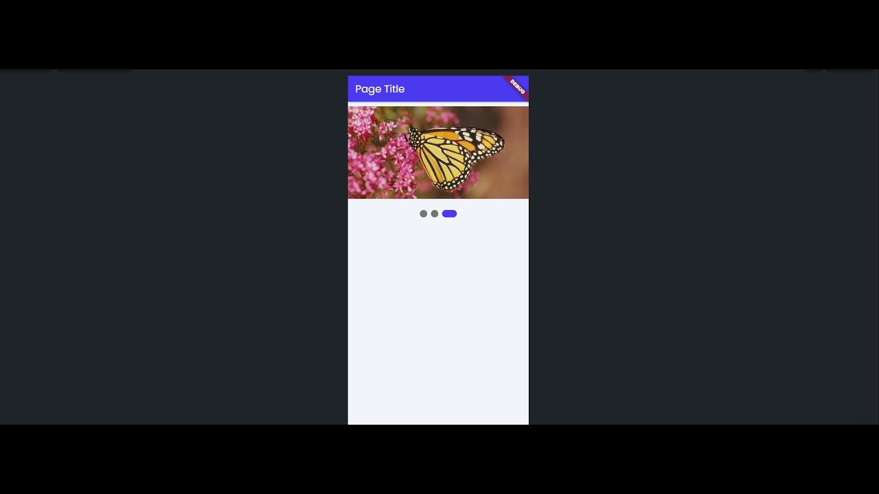 image Carasoul in @FlutterFlow  using Pageview