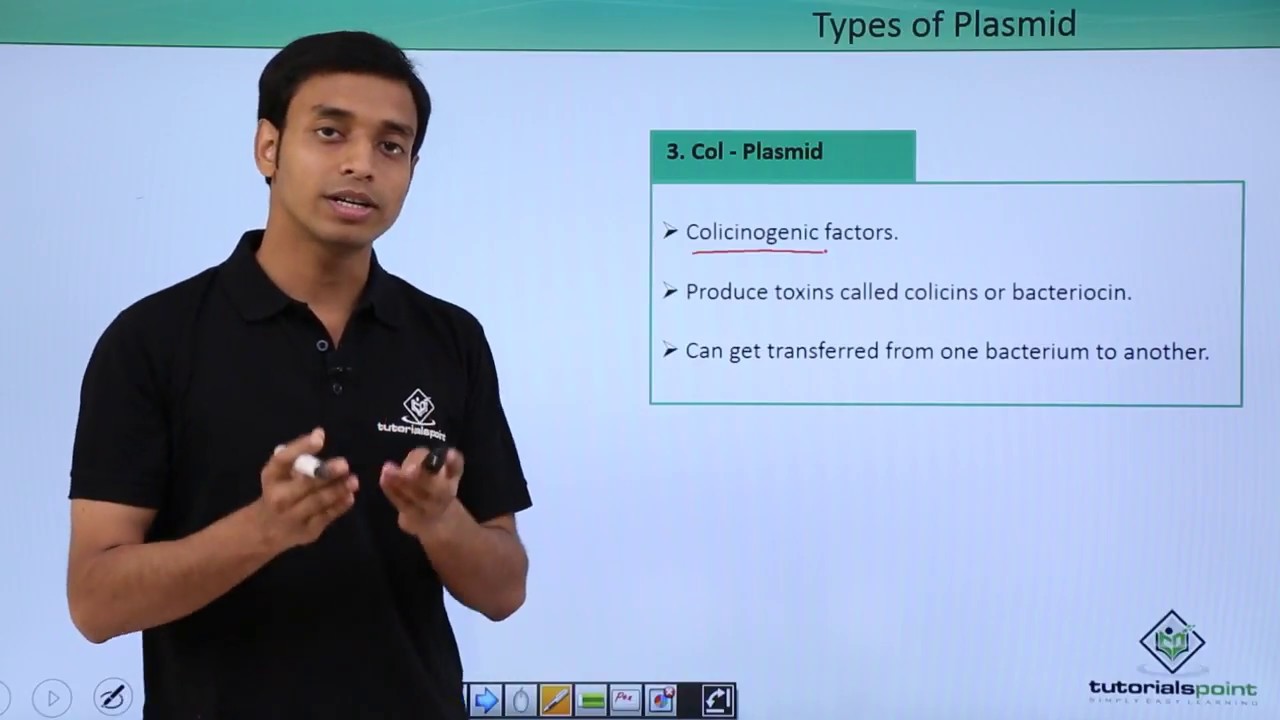 Class 11th – Kingdom Monera – Plasmids | Biological Classification | Tutorials Point