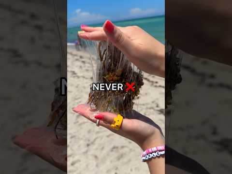 NEVER Add These into SLIME! 😱🏝️🌊❌ *Beach Edition*