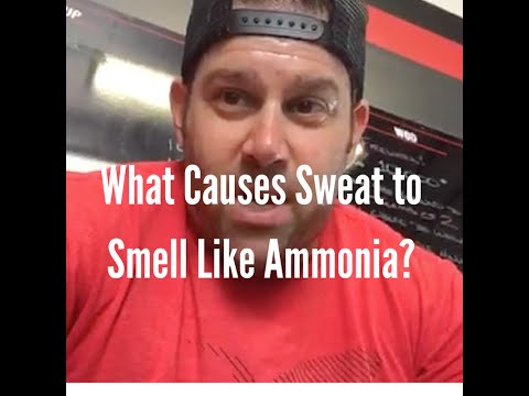 What Causes Sweat to Smell Like Ammonia?