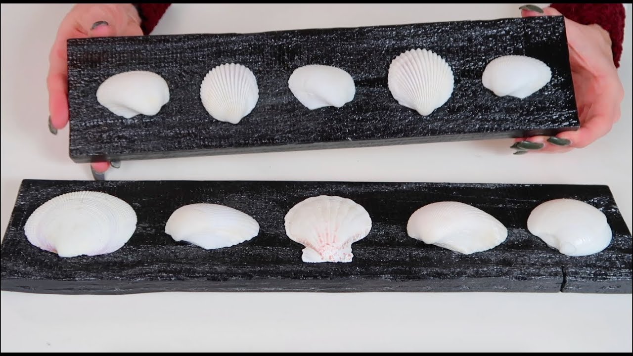 DOLLAR TREE DIY SEASHELL WALL ART *CHEAP*