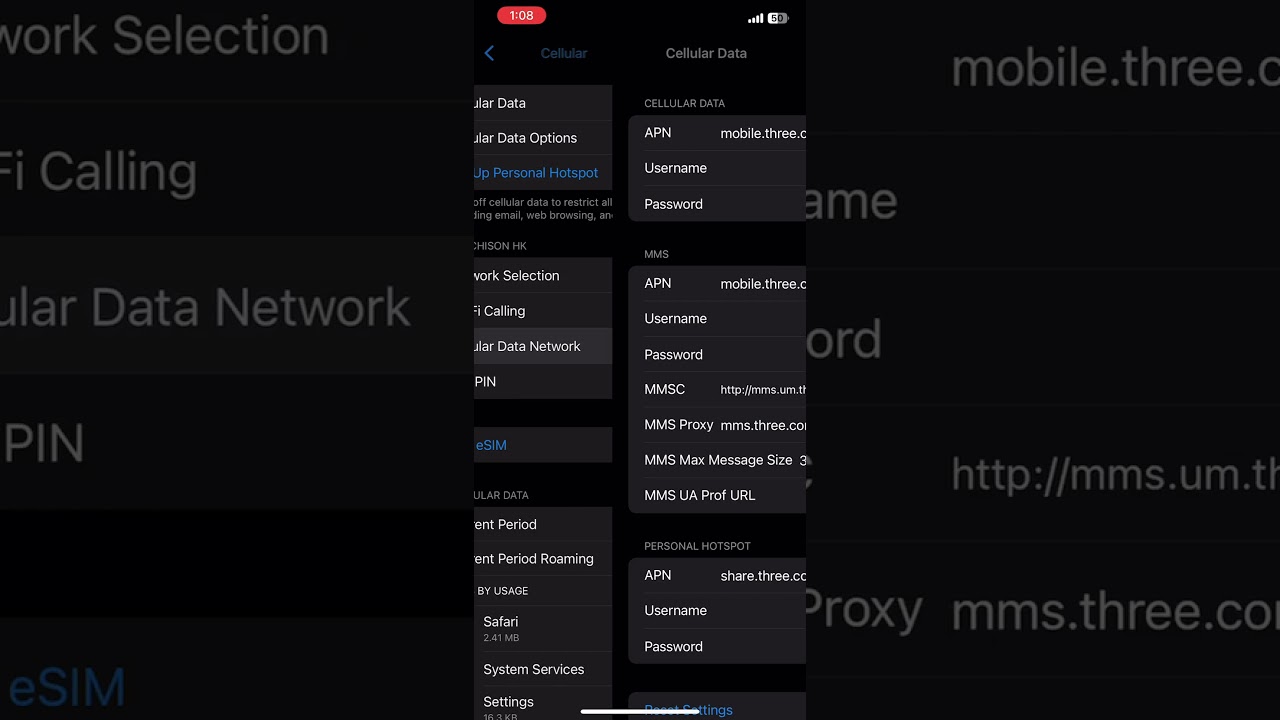 iphone double network sim apn setting