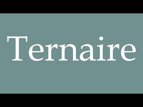 How to Pronounce ''Ternaire'' (Ternary) Correctly in French