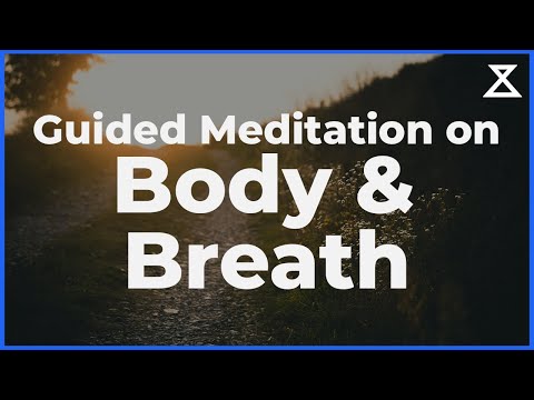 20 Minute Guided Meditation on the Body, Breath, and Resetting