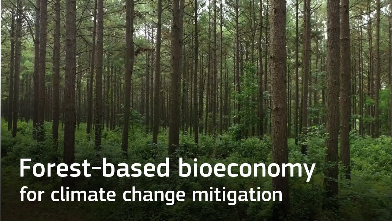 Forest-based bioeconomy for climate change mitigation