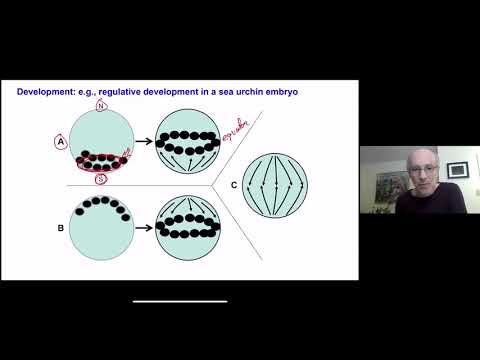Daniel McShea: An Externalist Teleology (RGSC 2021)