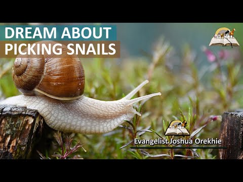 Biblical Meaning of PICKING SNAILS in Dream - Seeing Plenty Snails Symbolism