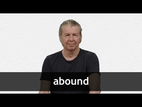 ABOUND definition in American English | Collins English Dictionary